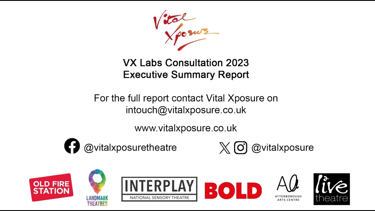 VX Labs Consultation - Executive Summary Report - YouTube