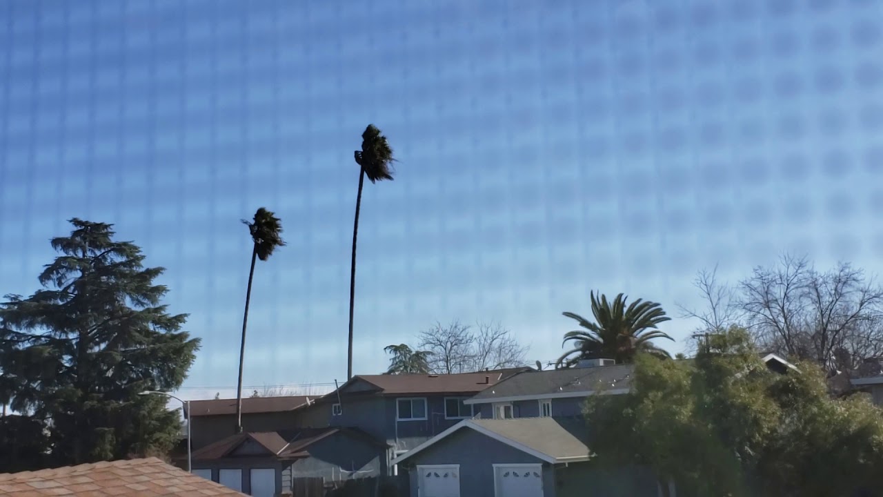 Gusty Windy NNE To North Winds 10:08am 10:08am February 9, 2020 - YouTube