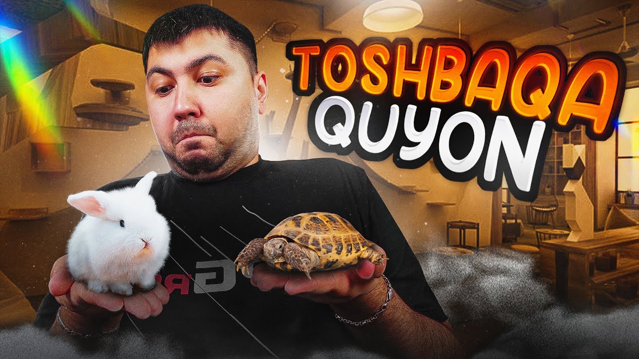 PETS HOTEL / TOSHBAQA VA QUYON #2 / UZBEKCHA LETSP - YouTube