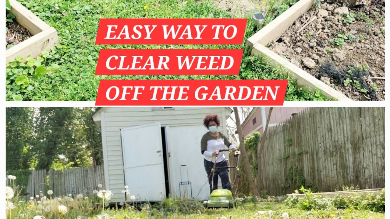 EASY WAY TO CLEAR WEED OFF YOUR GARDEN - YouTube