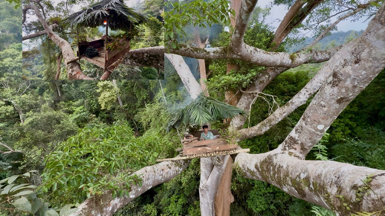 Building The Tallest Treehouse In The Forest – And This Is The Result ...