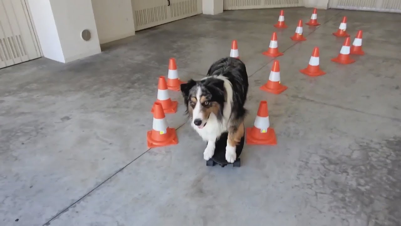 Totally Random #1 - YouTube