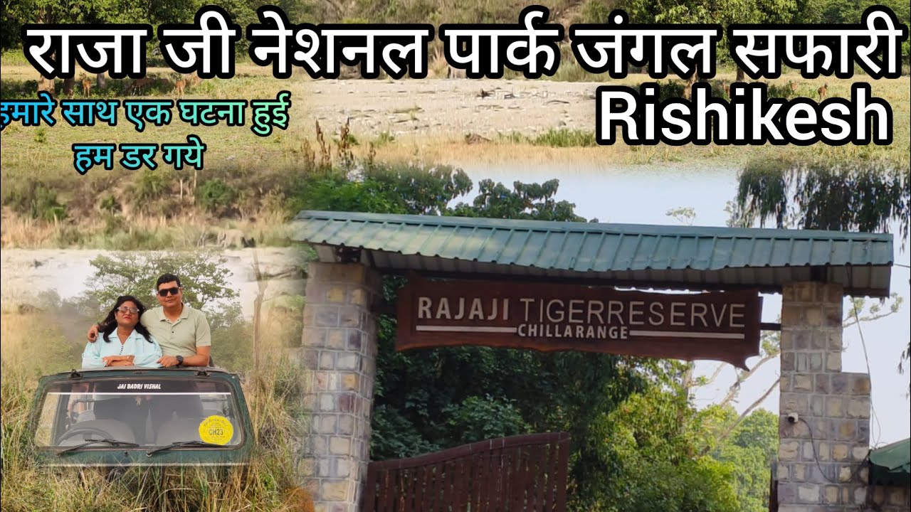 Family हमारे साथ एक Tragedy हुईं राजा जी नेशनल पार्क में | Rajaji Tiger ...