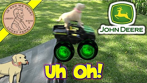 The Best & Funny Moments Of Butch The Fun Loving Toy Review Dog From ...