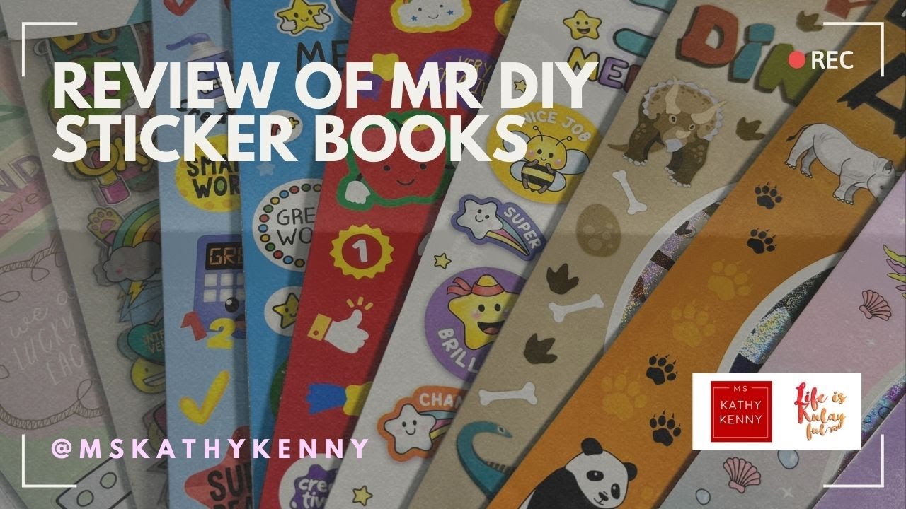 Review of Mr. DIY Sticker Books - YouTube