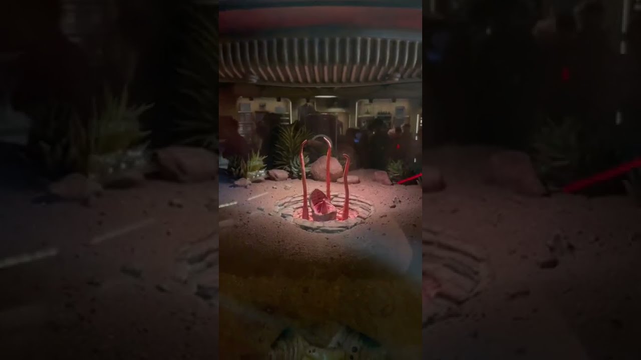 Ever Wondered What's Inside The Sarlacc's Pit? #Starwars # ...