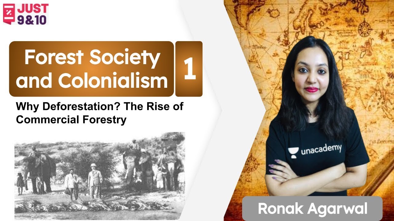 The Rise of Commercial Forestry | Forest Society & Colonialism - 1 ...
