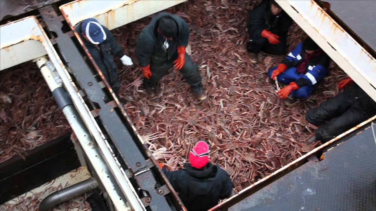 Captains Tour Promo The Hillstrand Brothers and Captain Sig Hansen ...