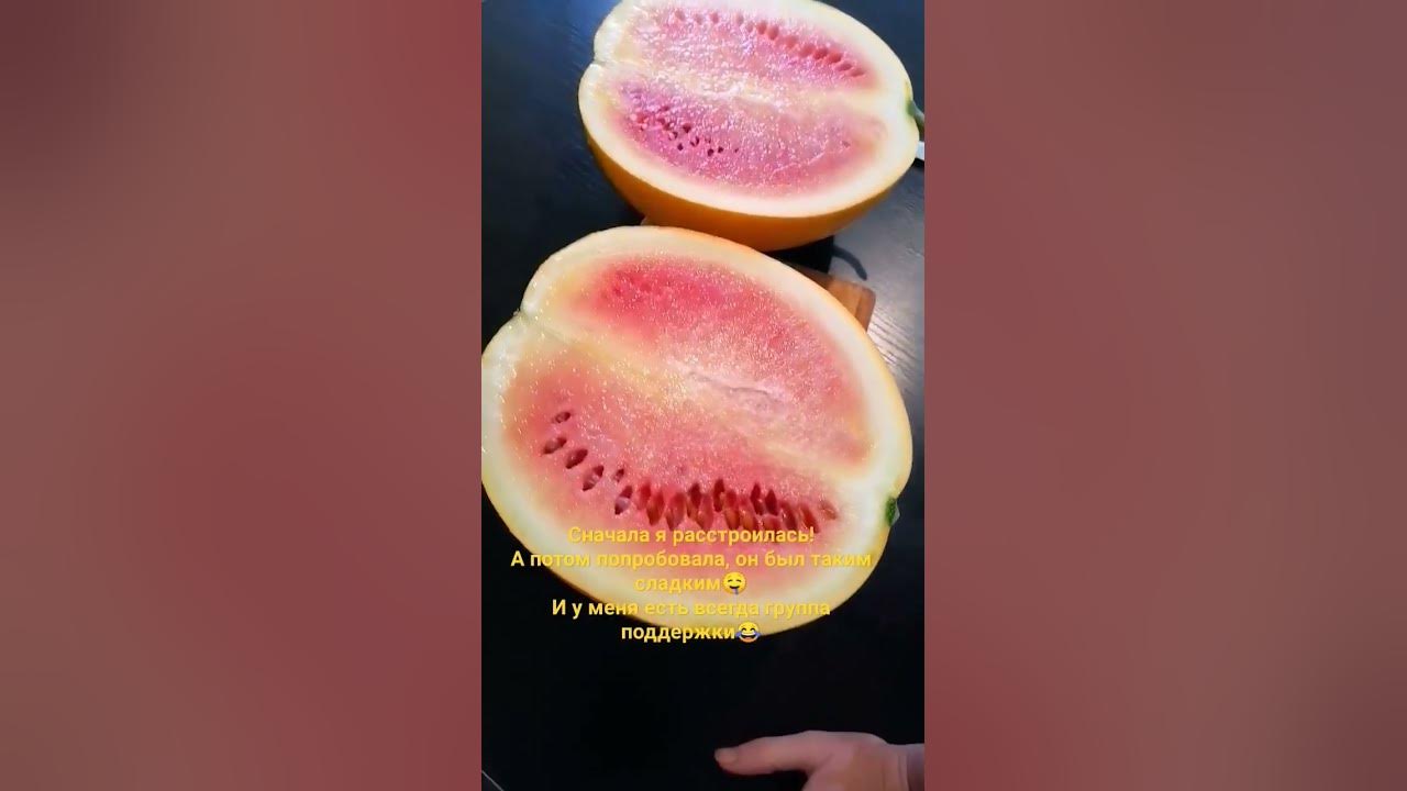 сорт арбуза Подарок Солнца🍉 - YouTube