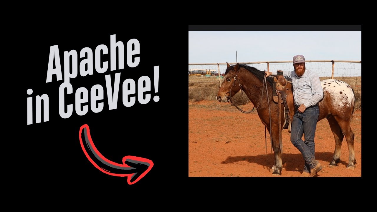 Apache In Ceevee! - YouTube