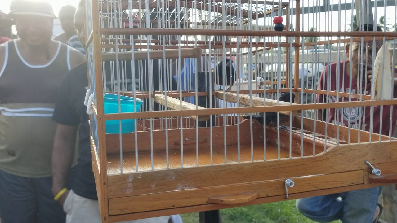 Six boss first outing at monrepose - YouTube