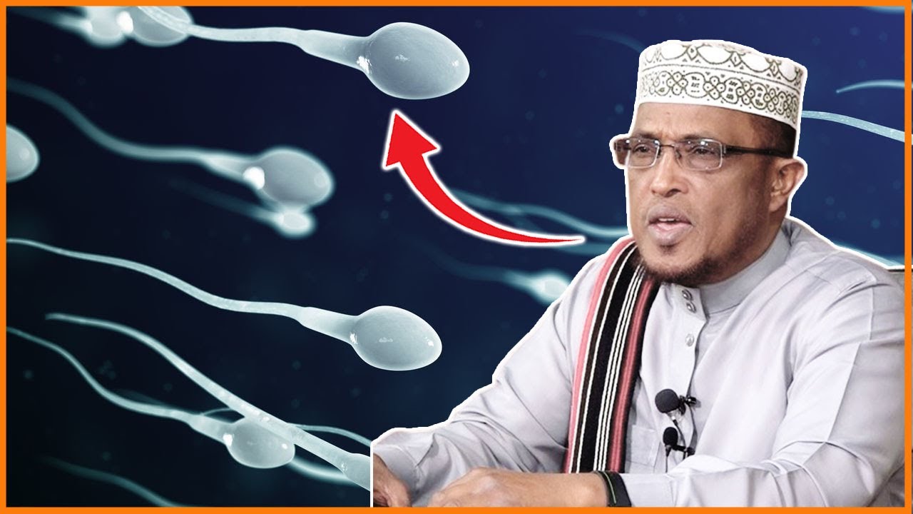 BIYAHA TARANKU SOOMKA WAY JEBIYAAN | SHEEKH DIRIR - YouTube