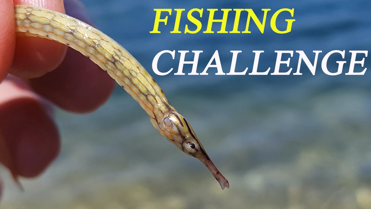 Fishing Challenge in Sea Fun Outdoor Activity for Kids - YouTube