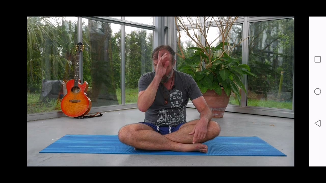 Wim Hof Push Ups exercise Breath Work (reverse crunchs abs in my case ...