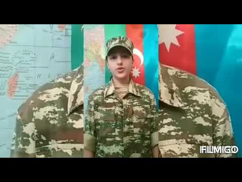 246 N: li məktəb lisey7ç Aslanova Nəzrin