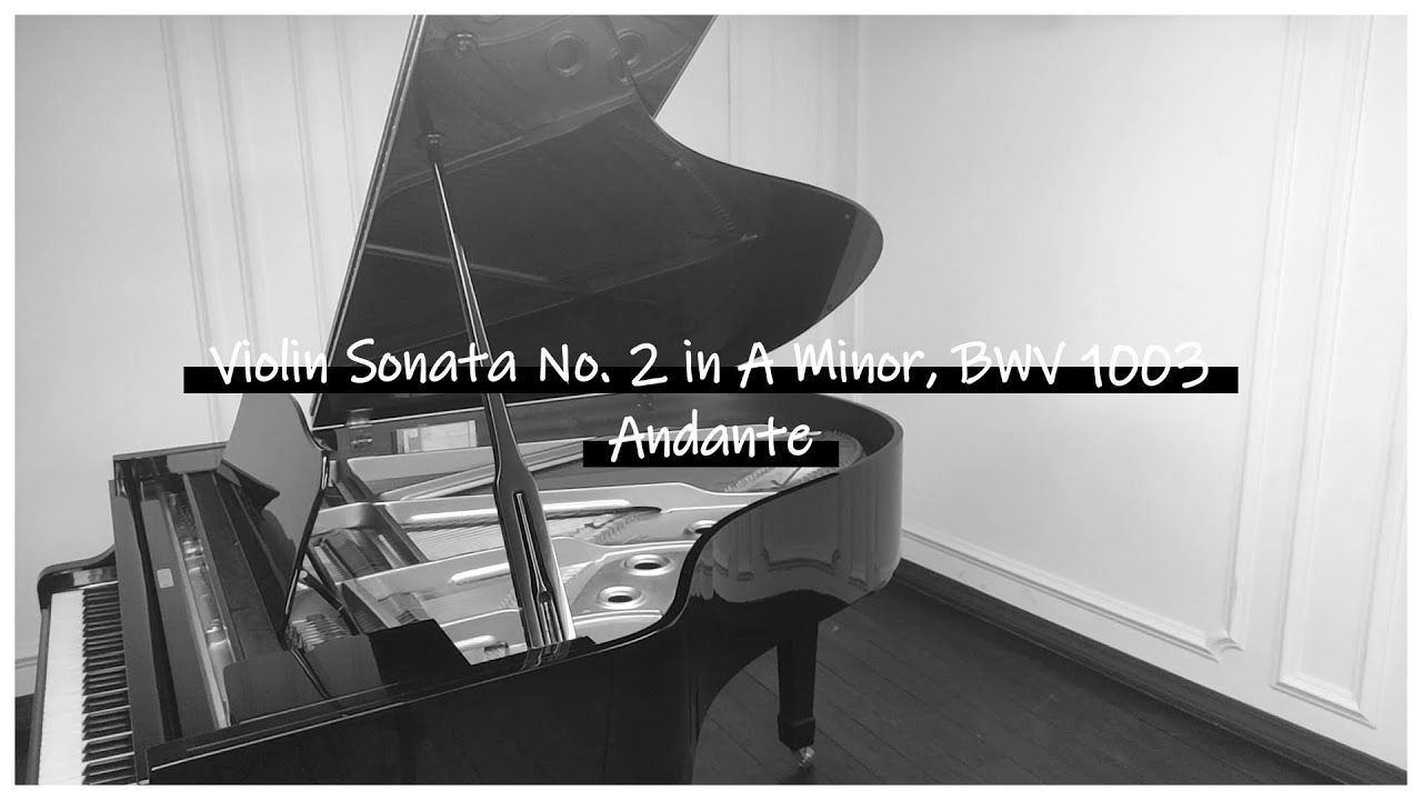 Bach, Andante, Violin Sonata No. 2 in A Minor BWV 1003 / 바흐, 바이올린 소나타 2 ...