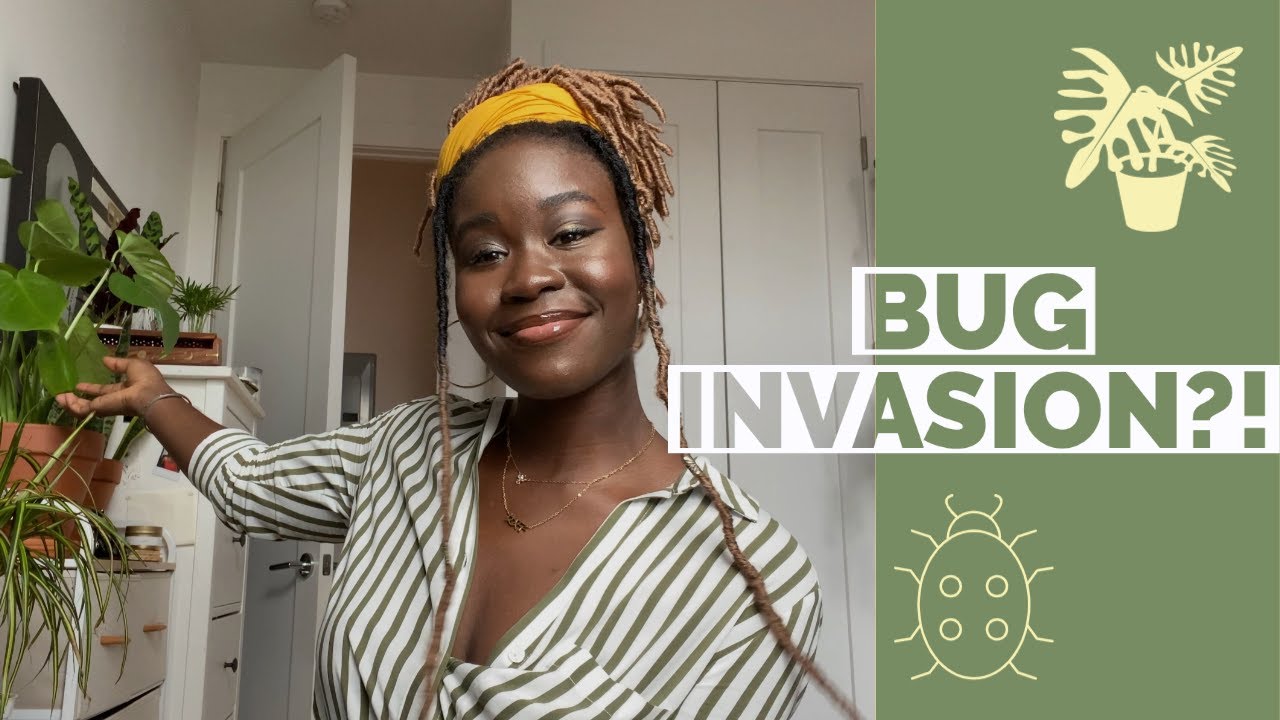 MONSTERA Horror Story? | Intro to my Channel - YouTube