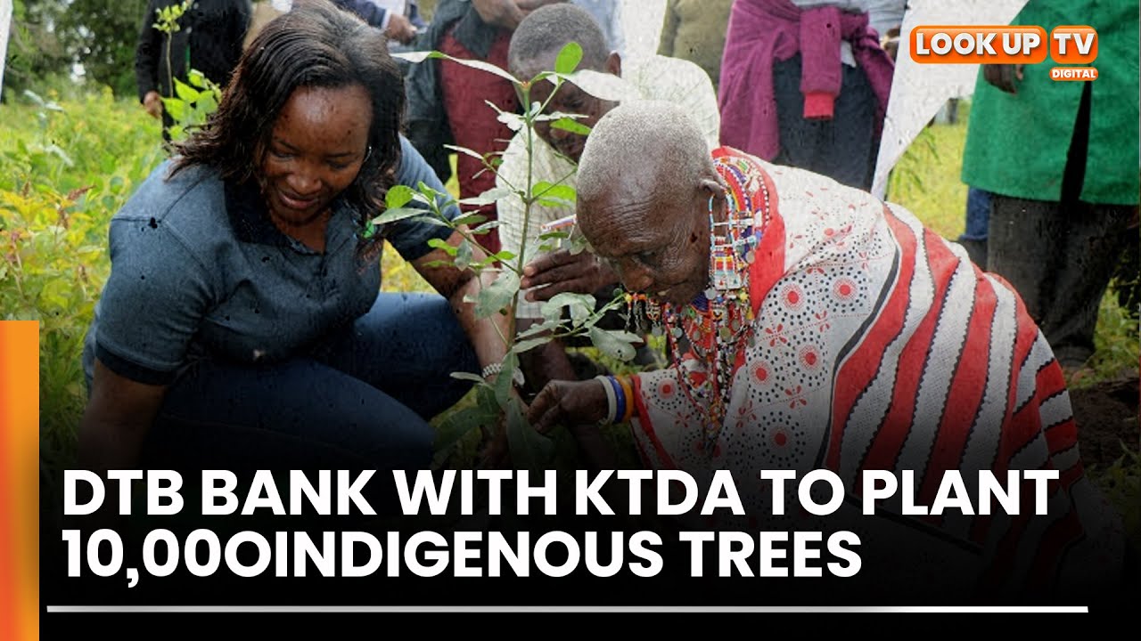 dtb-bank-with-ktda-to-plant-10-000-indigenous-trees-kapkamo-catchment