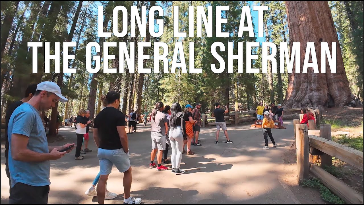 General Sherman Tree Trail - LONG LINE to take a picture 4K ...