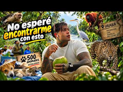 Nos metimos en la SELVA de Urabá, llevamos 500 esterilizaciones | Yeferson Cossio
