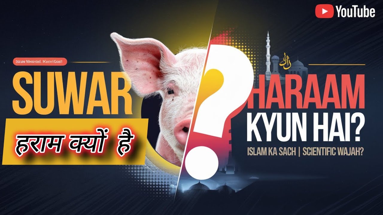 Pig haram kyu hai | why pork is haram | Why not eat pork in islam ...