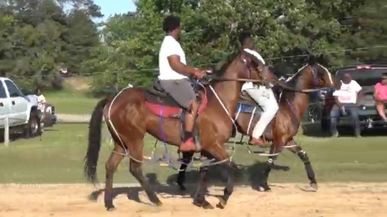 Standardbred Race Horses working out at Douglassville Race Track - YouTube