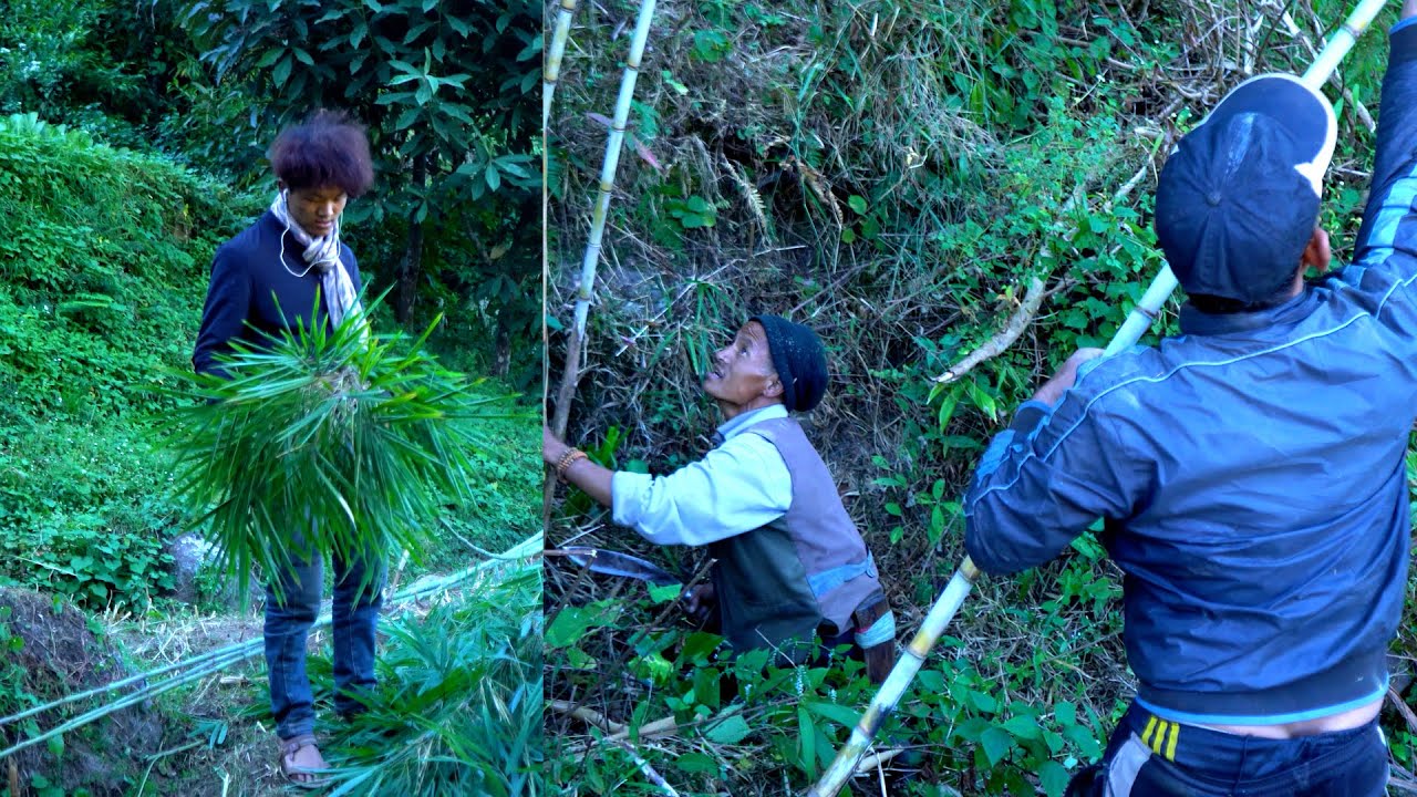 villagers are in their duty in the village || @ruralnepall - YouTube