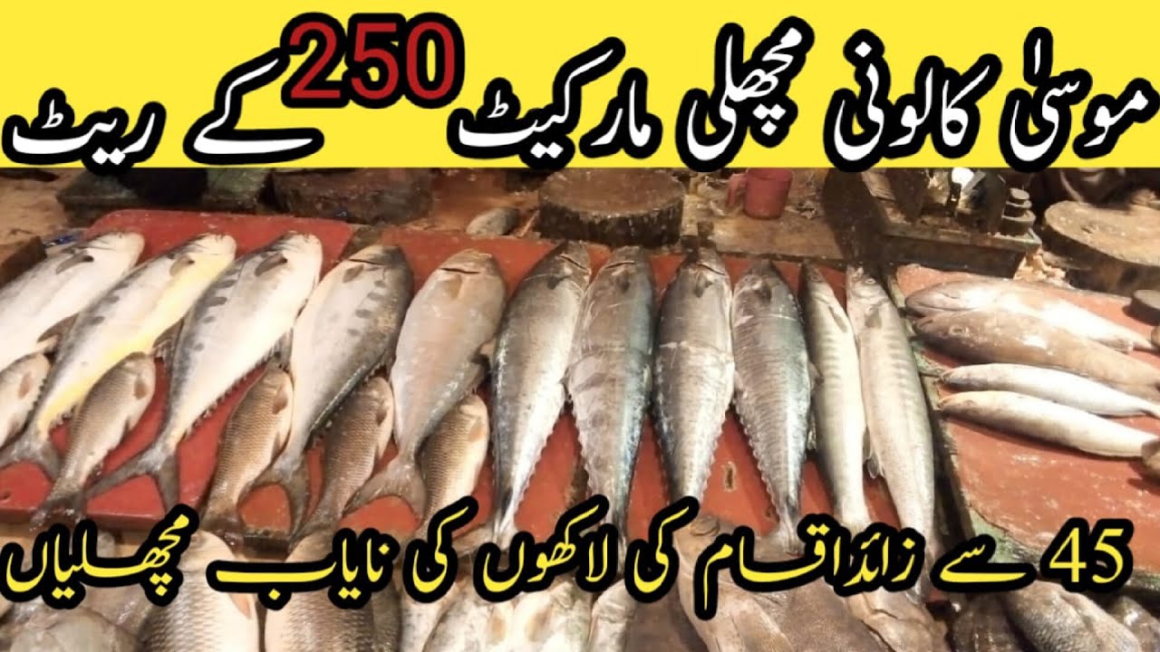 Moosa Colony Fish Market Karachi | Machli Bazar 2023 ...
