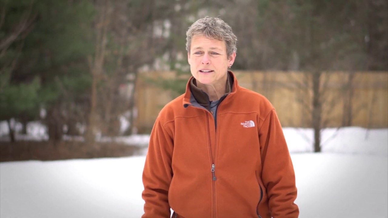 The Wild Institute // Original Wild Thoughts by Chris Heeter - YouTube