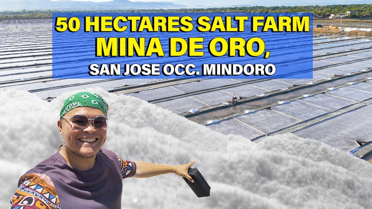 Nalugi sa Bangus, Successful sa Salt Farming - YouTube