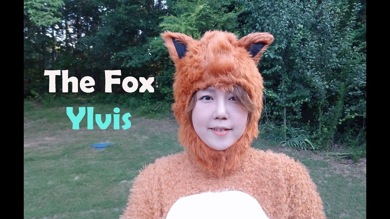 The fox (cover) -Ylvis - YouTube