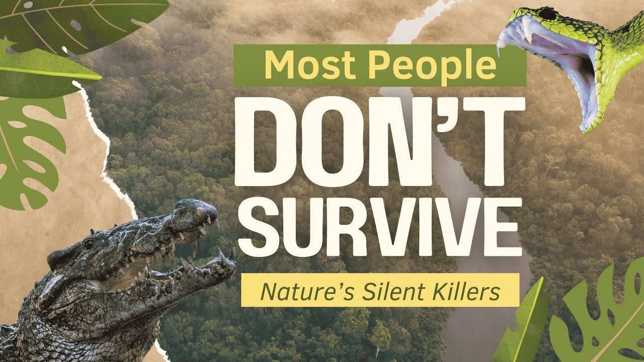 5 Most Dangerous Animals That Kill Instantly! - YouTube