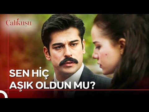 Aşk, Keşke ile Belki Arasında Kuruludur Feride - Bir İstanbul Beyefendisi #19 | Çalıkuşu