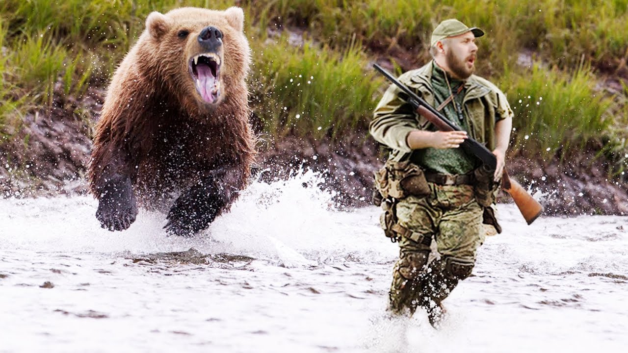CAUGHT ON CAMERA: When Animals Get Revenge! - YouTube