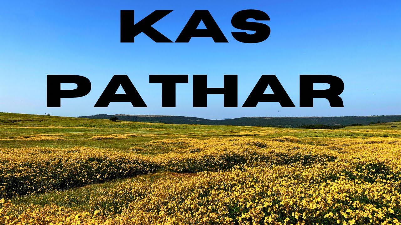 Kas Pathar to Mumbai - YouTube