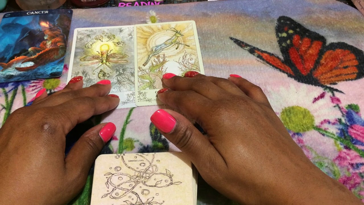 🦋 (TIMELESS)) Cancer, It's ok I'll have a better job by nightfall. 1/8 ...