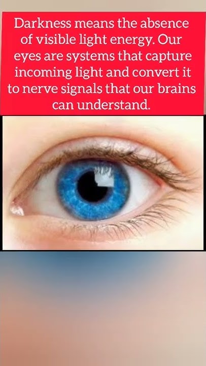 Why can't human's eye see in Dark | why can't human's see in night #eyes#Night#dark | pls ...