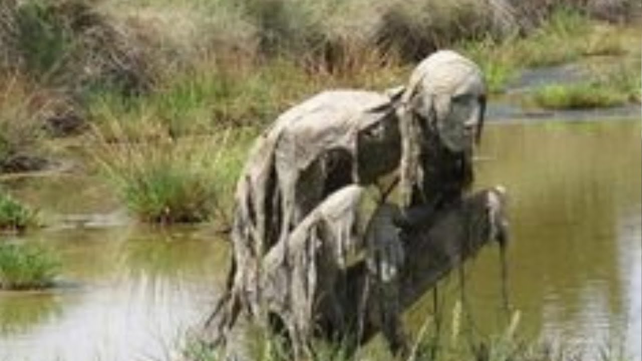 Scary American Urban Legends Later Revealed To Be True I Part 15 - YouTube