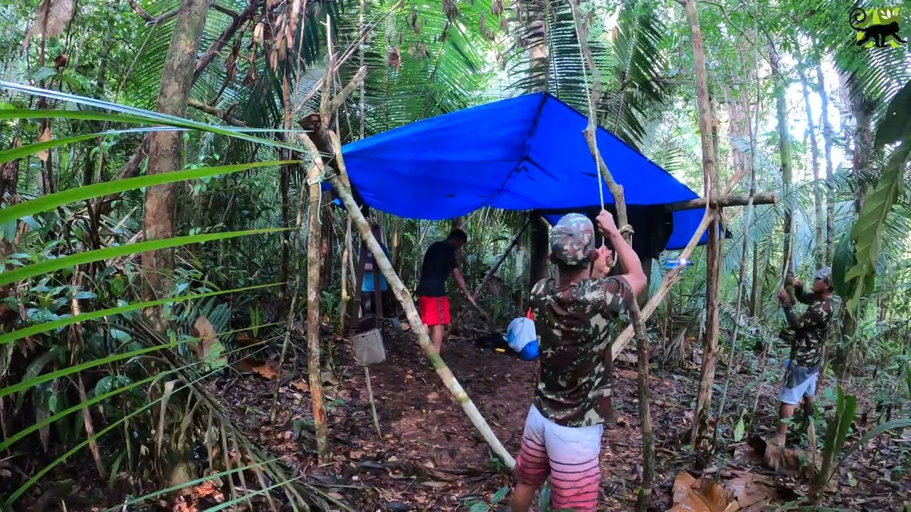 Amazon survival tour by Joshuas Amazon Expeditions - YouTube
