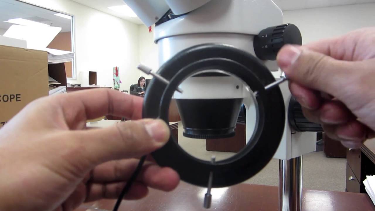 Microscope Expert - Attaching Your Ring Light to Your Stereo Microscope ...