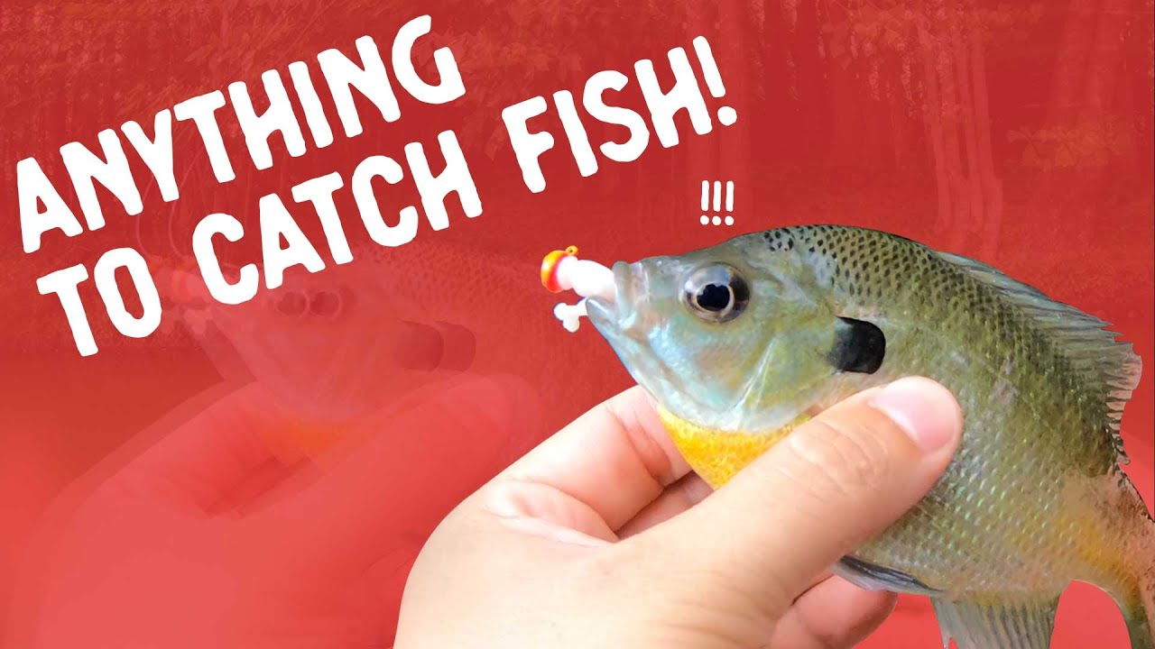 Summer Kayak Ultralight Fishing for Anything that Bites with Mule ...