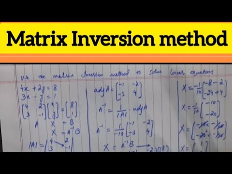 Matrix Inversion method | Class 9th Maths| Ex 1.6 | Important long for ...