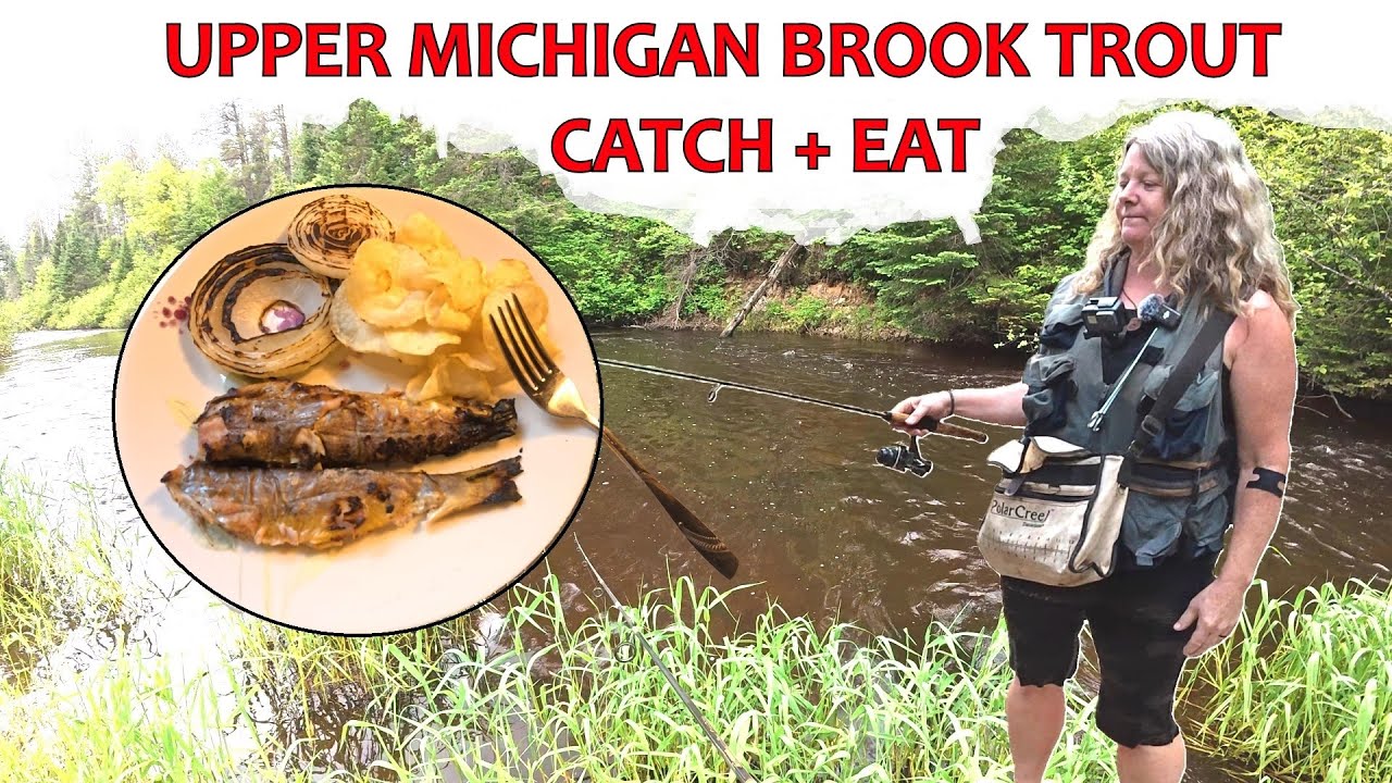 UPPER MICHIGAN RIVER BROOK TROUT - CATCH and EAT! - YouTube