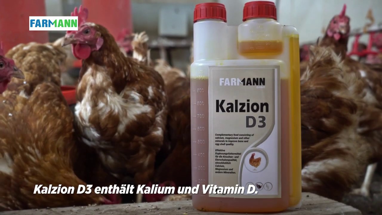Effektive Ergänzungsfuttermittel für die Knochen- und ...