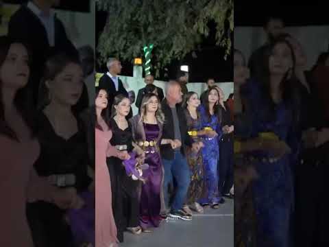 Silopi'de Sefer ve Ayten'in Düğünü #silopidüğünleri #silopi #kürtdüğünü #sevgi #keşfet #keşfetedüş