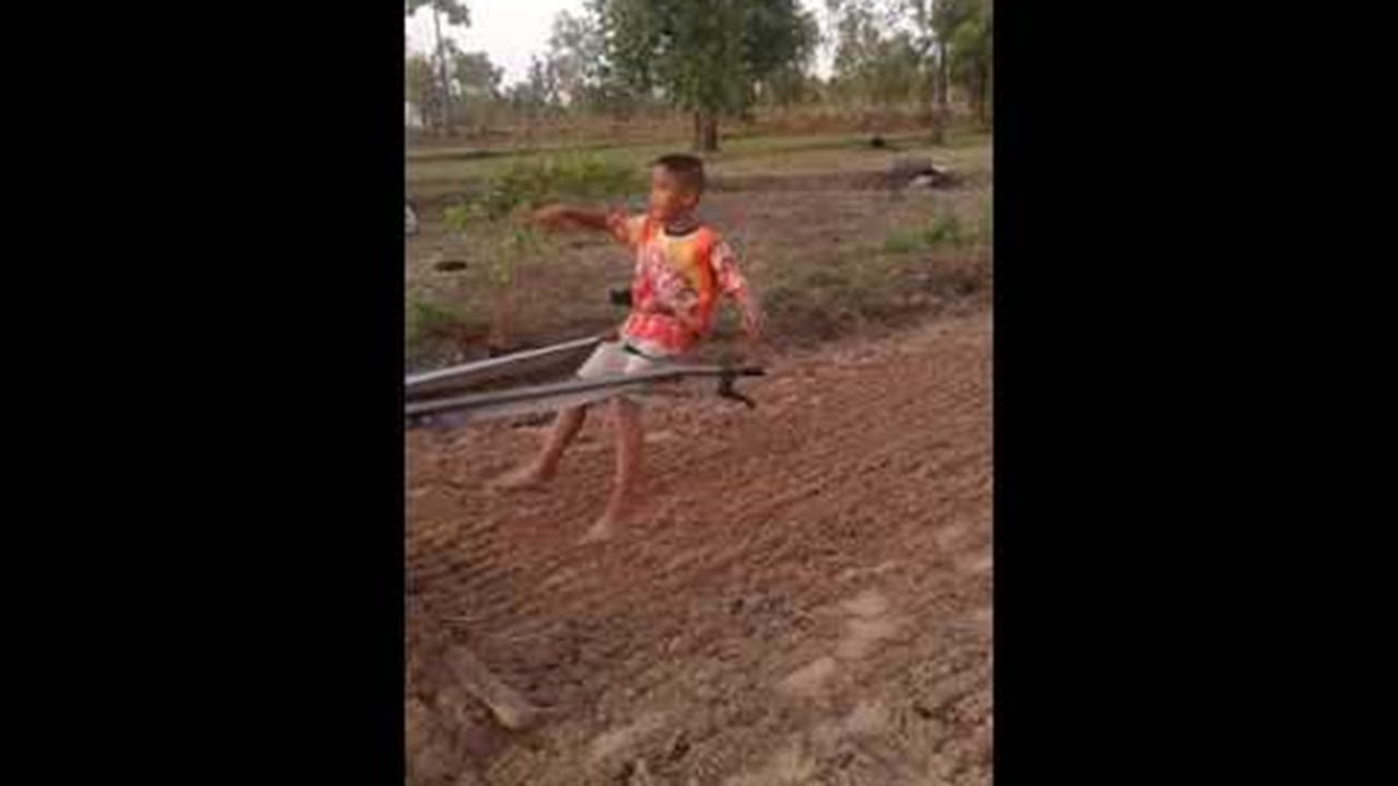 Little Boy Plows Field || ViralHog - YouTube