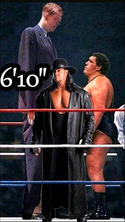 THE UNDERTAKER ANDRE THE GIANT & ROBERT WADLOW FACE TO FACE #shorts - YouTube