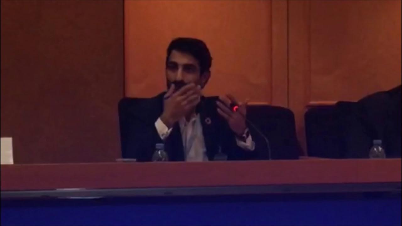 Women right to participate in public affairs. Permanent Representative at UN, Mr. Mohamad safa I ...