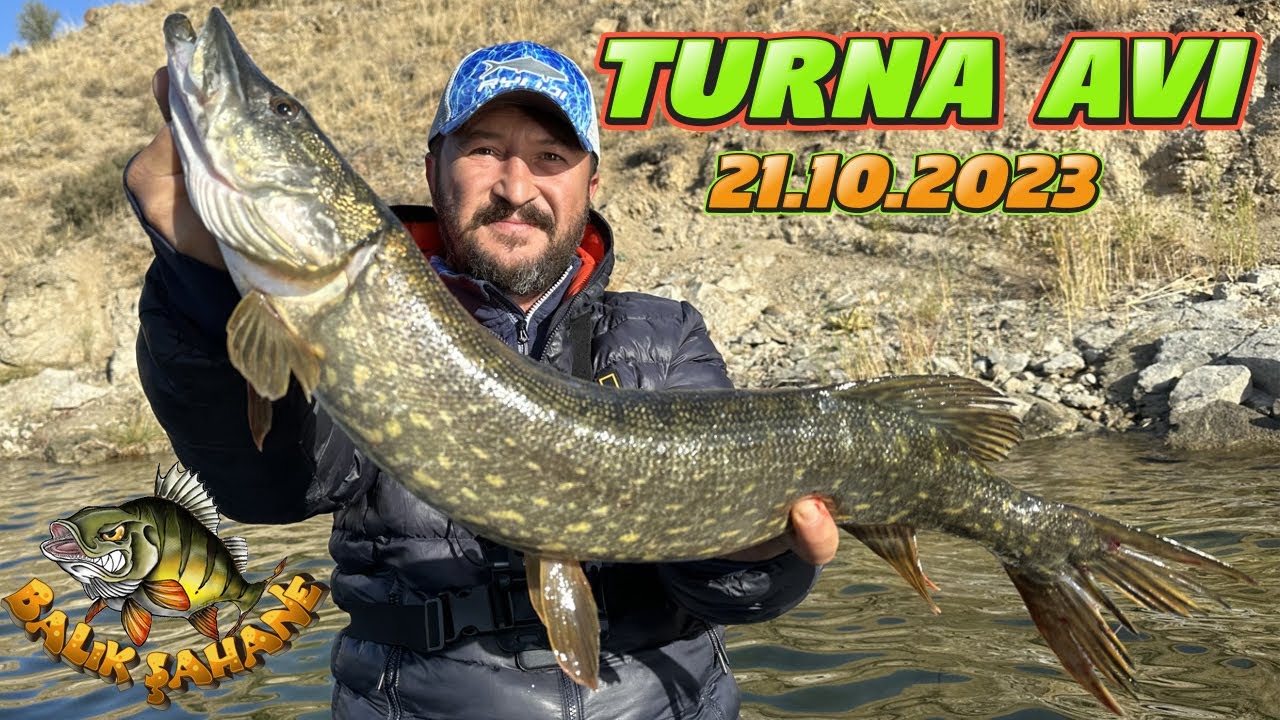 TURNA BALIK AVI.SUYUN ORTASINDA AKÜLER BİTİNCE KÜREKLERİ ESKİTTİK ...