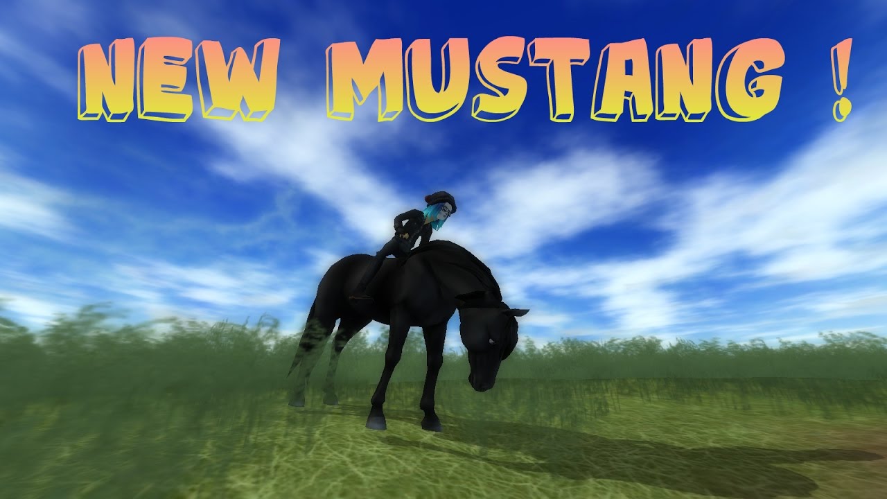 SSO | New Mustang ! - YouTube
